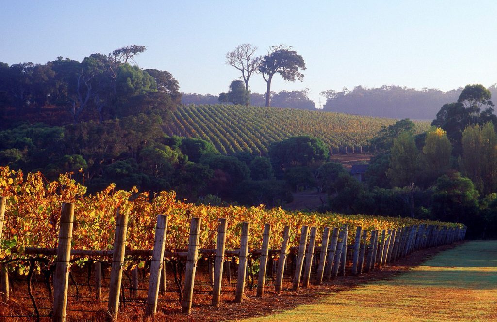 SWAN VALLEY PRIVATE TOUR - AUSTRALIAN PRIVATE TOURS